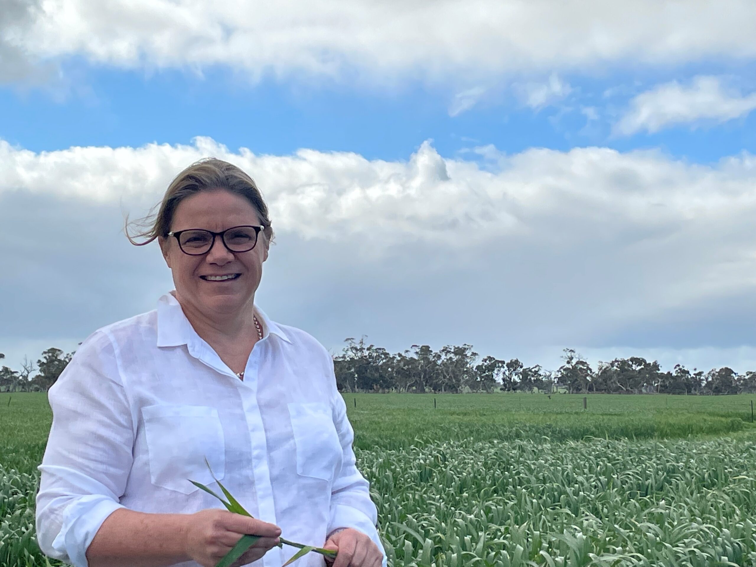New Executive Officer Announcement - Lucerne Australia